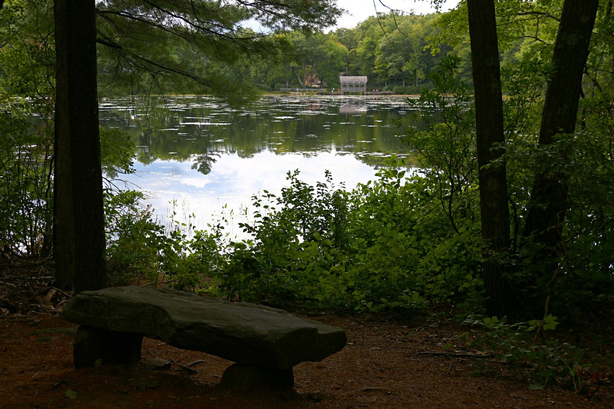 State Parks: Moore State Park – Massachusetts First