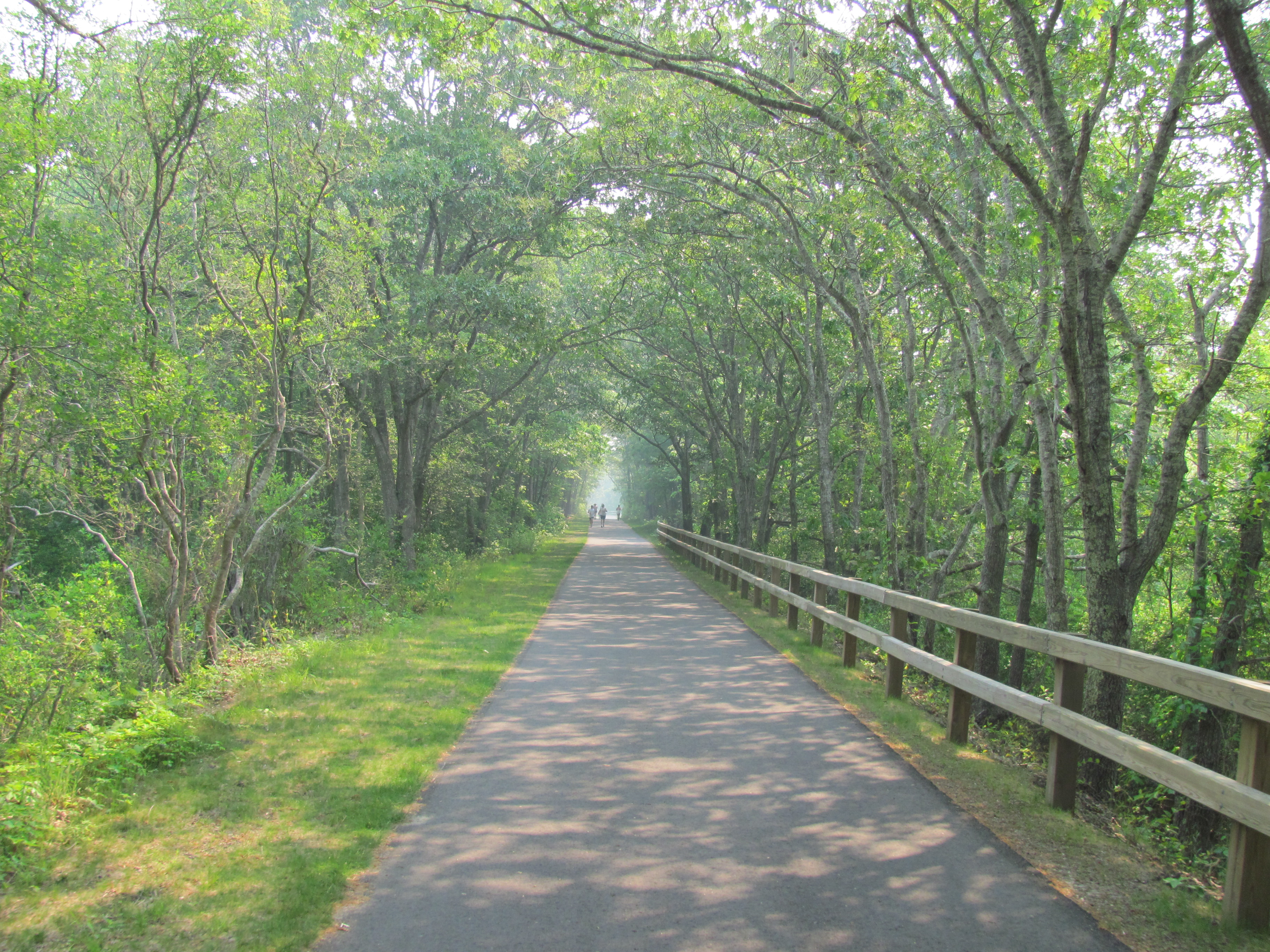 Cape Cod Rail Trail – Massachusetts First