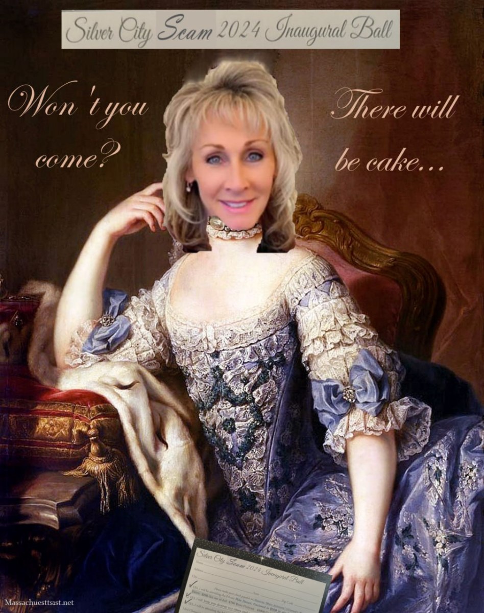 Taunton Mayor Shaunna O’Connell’s State Committee Power Grab ...